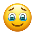 Face Holding Back Tears Emoji 🥹