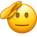 Saluting Face Emoji 🫡