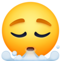Face Exhaling Emoji 😮‍💨
