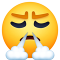 Face with Steam From Nose Emoji 😤