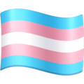 Transgender Flag Emoji 🏳️‍⚧️