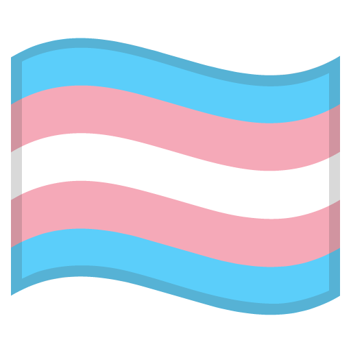 Transgender Flag Emoji 🏳️‍⚧️