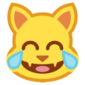 Cat with Tears of Joy Emoji 😹