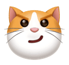Cat with Wry Smile Emoji 😼