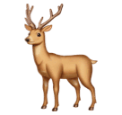 Deer Emoji 🦌
