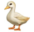Duck Emoji 🦆