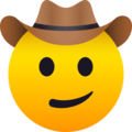 Cowboy Hat Face Emoji 🤠