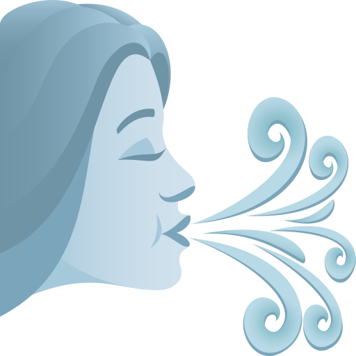 Vent Avec Visage emoji 🌬️