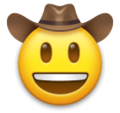 Cowboy Hat Face Emoji 🤠