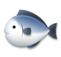Fish Emoji 🐟