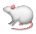 Mouse Emoji 🐁