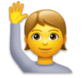 Person Raising Hand Emoji 🙋