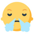 Face with Steam From Nose Emoji 😤