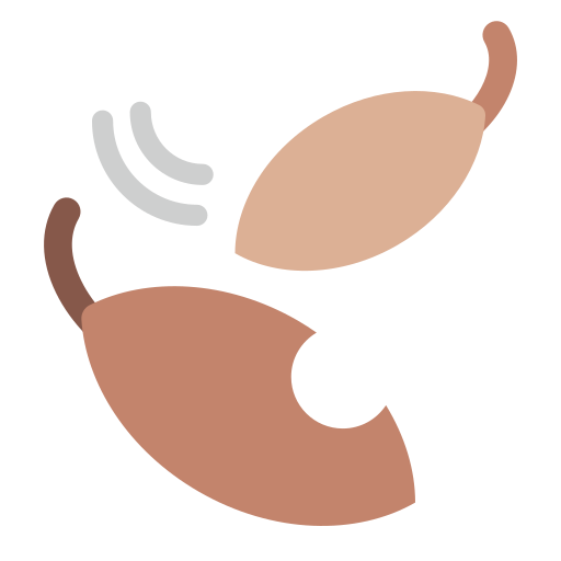 Fallen Leaf Emoji 🍂