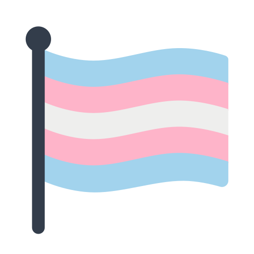 Transgender Flag Emoji 🏳️‍⚧️