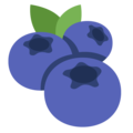 Blueberries Emoji 🫐