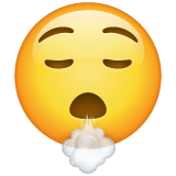 Face Exhaling Emoji 😮‍💨