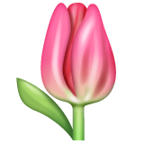 Tulip Emoji рџњ
