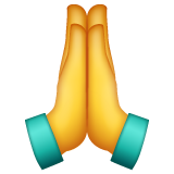 🙏 Gevouwen handen emoji